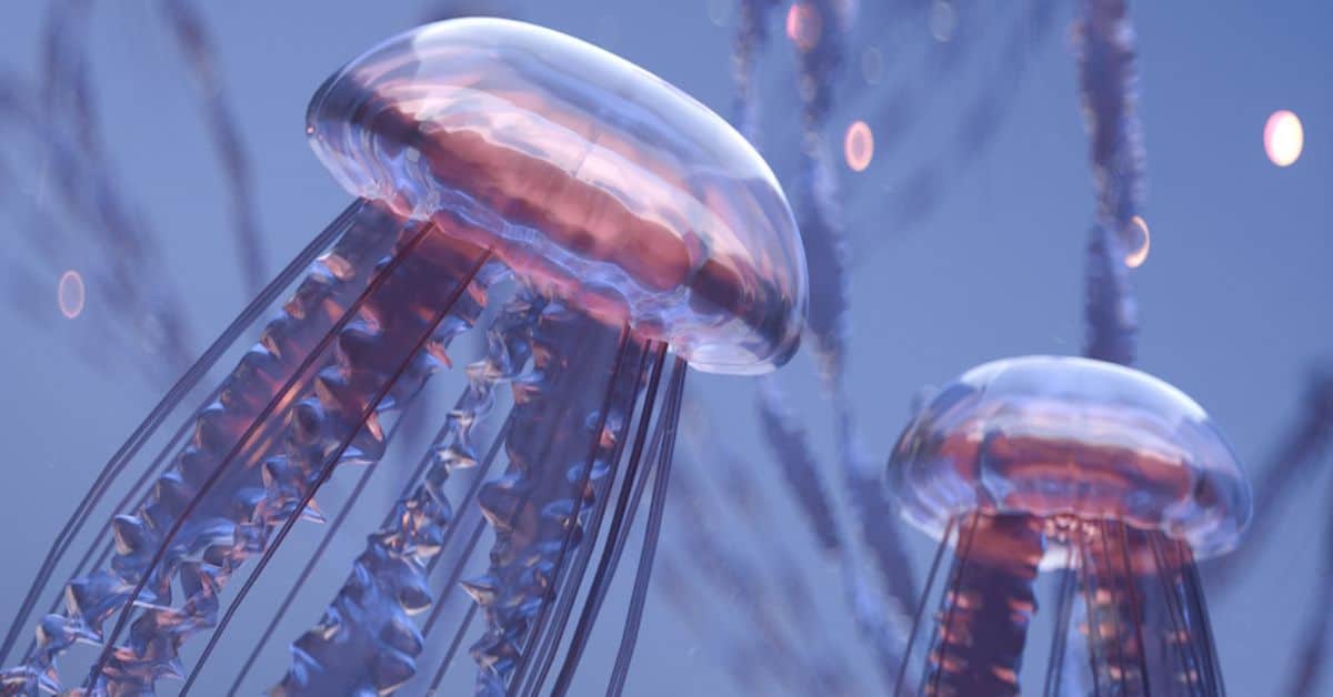 CGI Post Production House Bangkok Thailand - CutMixColor